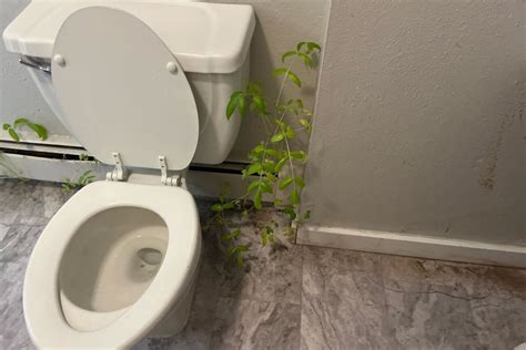 Manual J Manual S And Manual D Whats The Difference