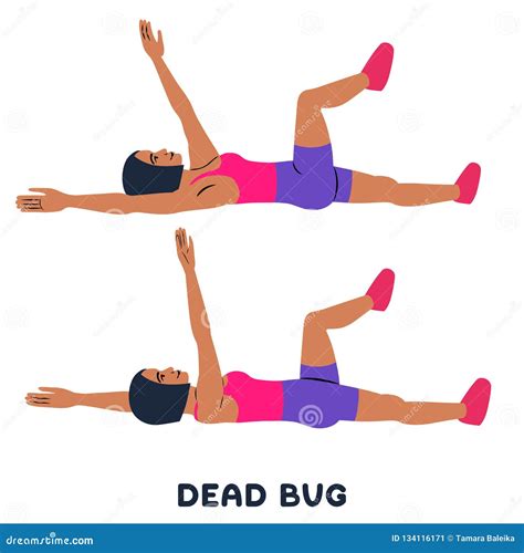 Man Doing Dead Bug Exercise Abdominals Exercise Stock Illustration