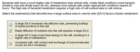 Oneclass How Does Surface Area To Volume Ratio Affect The Rate Of Diffusion
