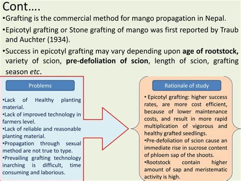 Influence Of Rootstock Age And Pre Defoliation Of Scion On The Success Of Epicotyl Grafting Of