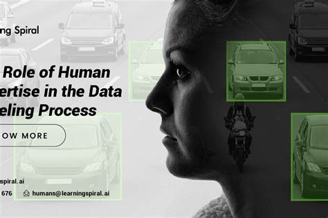 Human Expertise In Data Labeling