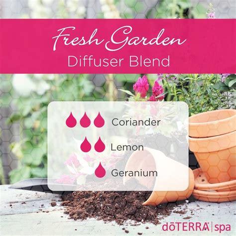 Blend Coriander Lemon And Geranium For A Nice Fresh Clean Scent