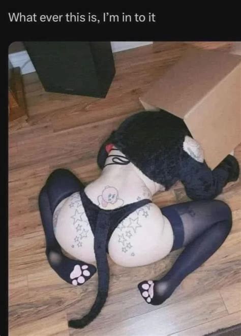 New Kink Unlocked Put Me In Da Box R NSFWMemes