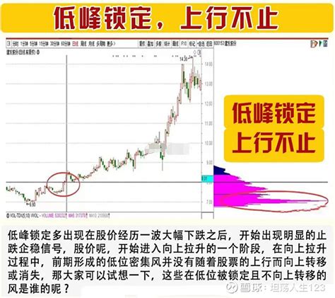 转：炒股超级干货：高手怎么看筹码峰？ 成交量、筹码峰，都是股市里最“真实”的两种指标，最不容易骗人和割韭菜，因为都是靠真金白银打出来的。主力想造假，成本太高， 雪球