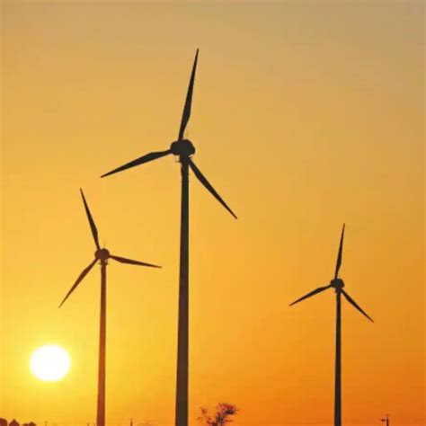 Kamile Grigaite Vilnius University Vilnius Department Of Hydrology