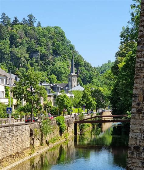 Dr Sergio Marcucci Do Msc Dhsc Hat Etwas Auf Linkedin Gepostet