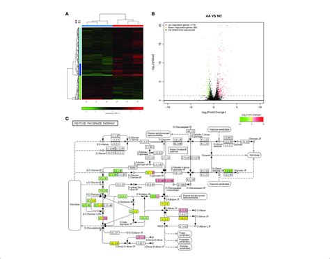 Rna Sequencing And Bioinformatics Analysis A Hierarchical