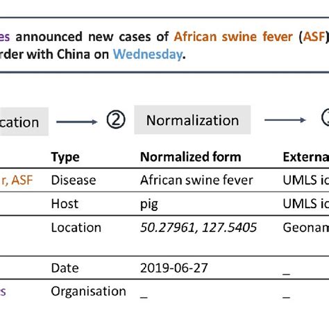 Illustration Of Entity Level Processing Subtasks Including Entity Download Scientific Diagram