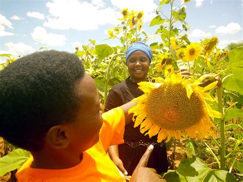 Women Sunflower Business IMPACT Direct