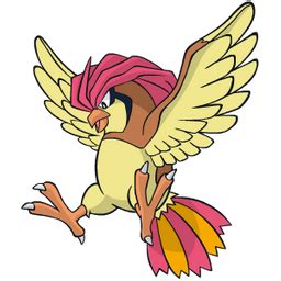 Pidgey Fly