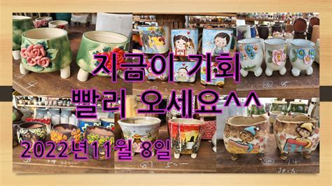 22년11월8일 5만원이상 무료택배감동다육화분 주문전화 010 9300 2575 다양한 예쁜화분들의 매력을 느껴보세요~ 수제화분 다육화분가성비 Youtube