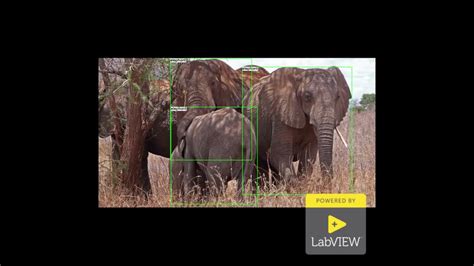 Vladislav Kaplan On Linkedin Labview Segmentation