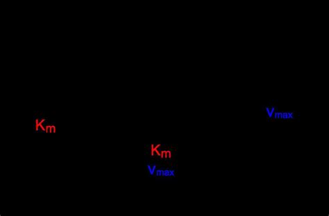 Haneswoolf Plot Alchetron The Free Social Encyclopedia