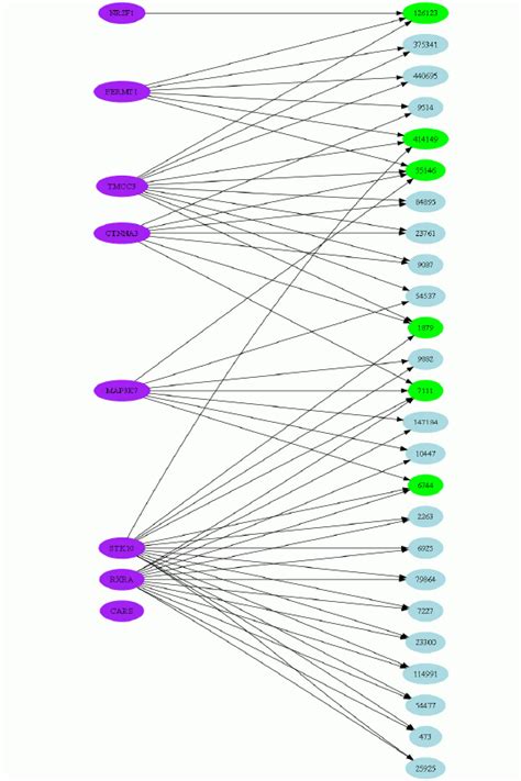 Co Regulation Graph For The Gwas Gene Set The Purple Nodes In The Left Co Regulation Graph For The Gwas Gene Set The Purple Nodes In The Left