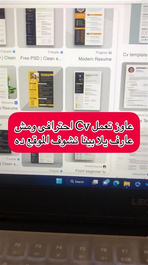 برمجه رمضان Programming Programmer Cv Create To Cv Amr Nasser