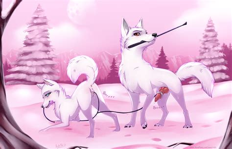 Rule 34 Animal Genitalia Animal Penis Animal Pussy Anus Arctic Fox