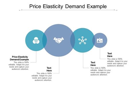 Price Elasticity Demand Example Ppt Powerpoint Presentation Infographic Template Format Cpb