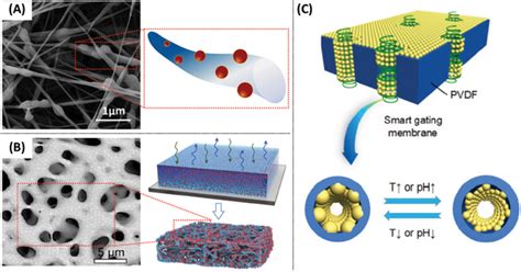 Incorporation Of Microgels Within Polymer Scaffolds During Membrane Download Scientific Diagram