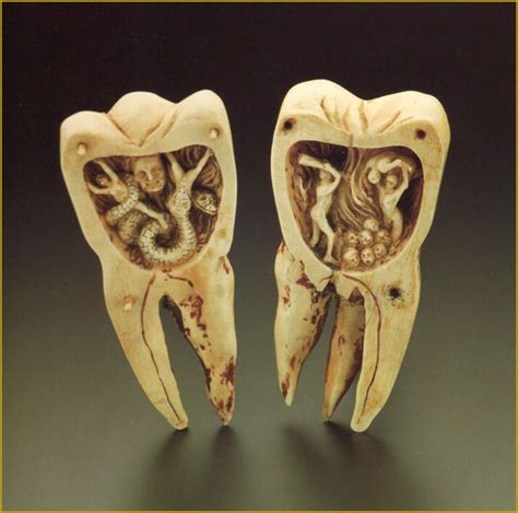 The Attack On The Tooth Worm The Exarc Journal