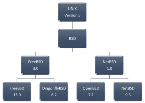 An Overview Of BSD UNIX Operating System A Brief Guide