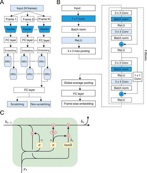 Scratch Aid A Deep Learning Based System For Automatic Detection Of