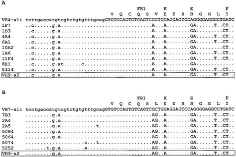 Comparison Of Nucleotide Sequences Of Part Of The Leader Intron And FR1 Download Scientific