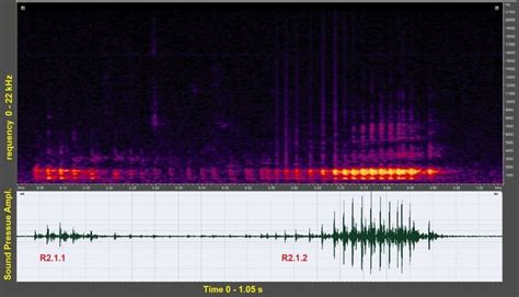 Recording 2 Spectrogram And Time Display Of Recording R21 Time Scale