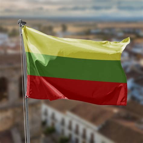 Lituania Bandera Archivonordic Cross Proposal For Lithuanian Flagsvg