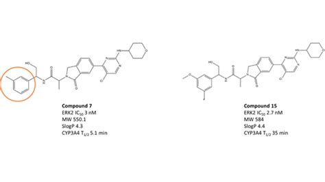 Addressing Metabolic Liabilities By Bioisosteric Replacements With Spark™ Cresset