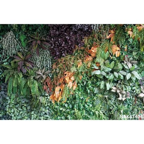 Birthday Photo Backgrounds Green Grass Wall Tropical Plants Leaves