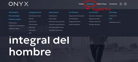 Sidebar Menu Toggle Visibility Issues I Need Help Blocs Forum