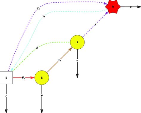 Chart Flow Of The Seirs Model The Force Of Infection Is F O βi The
