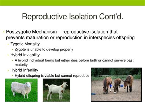 Reproductive Isolation