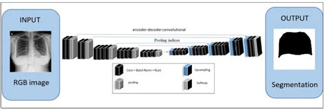 Architecture Of Encoder Decoder Convolutional Neural Network Prepared