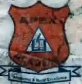 First Apex Schools Secondary Schools In Alagbado Lagos State