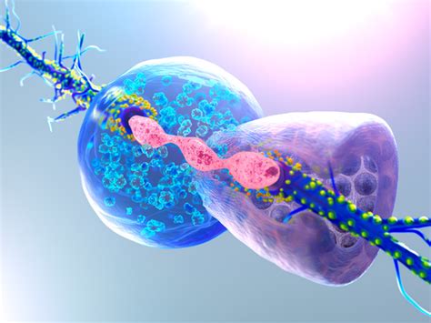 多发性骨髓瘤能治好吗 骨髓瘤常识 骨髓瘤 肿瘤疾病大全 癌症肿瘤科普知识 有来医生