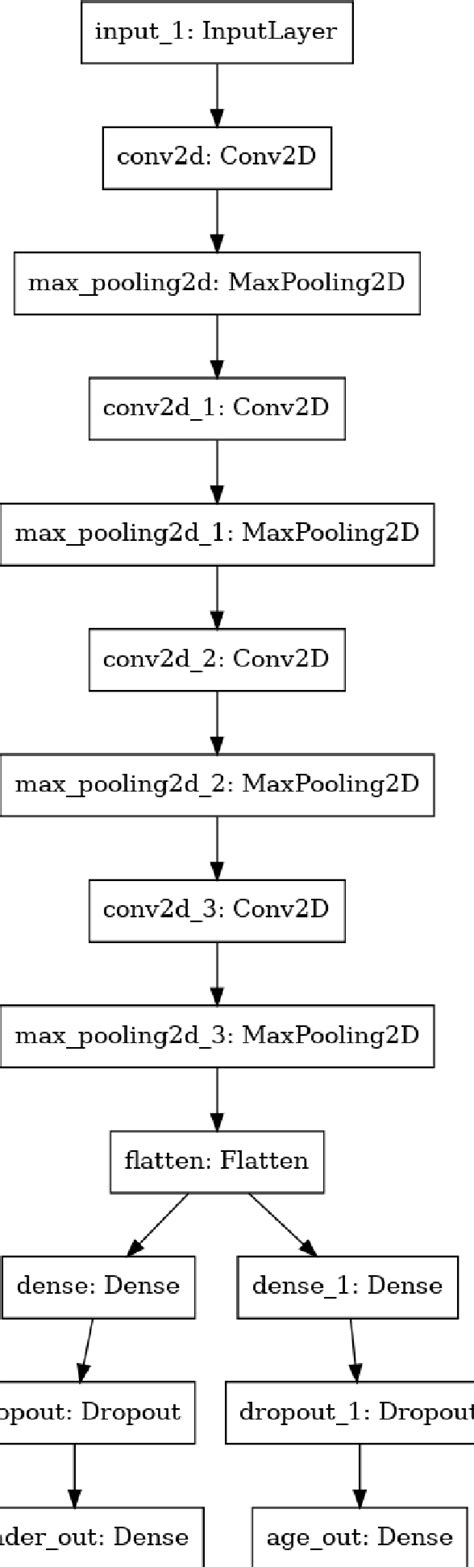 Figure 1 From A Cnn Based Prediction Model For Age Gender And