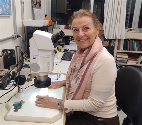 Lúcia Massutti De Almeida O Nome Das Joaninhas Do Brasil