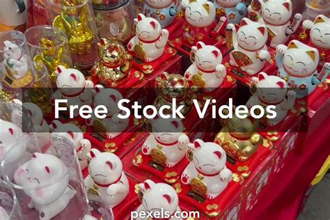 Japanese Flat Chested Videos Download The Best Free 4k Stock Video