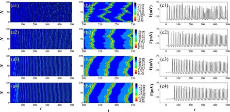 Spatial Patterns Of The System And Action Potential Of A Single Neuron
