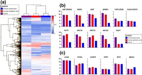 Microarray Profiling Of Mrna Expression In Primary Cell Cultures And Download Scientific