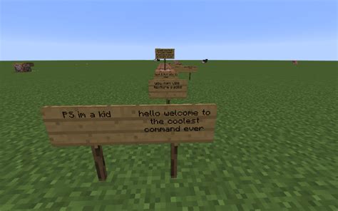 the best commands minecraft map