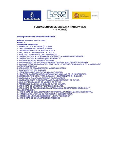 Fundamentos De Big Data Para Pymes Descargar Gratis Pdf Big Data Procesamiento De Datos