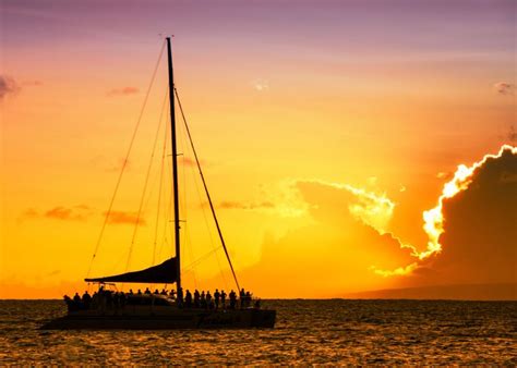 Pradeep Maheshwari On Linkedin Unfortunately Many Stay Sick Because Of Their Thought Process