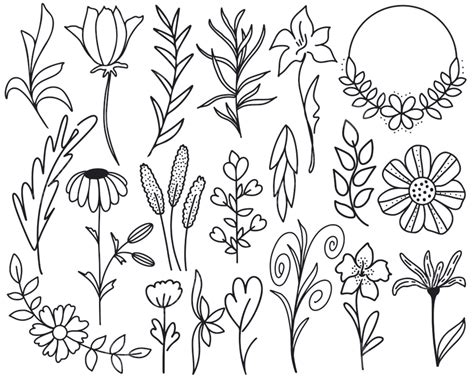 Flower Doodle Set Vector Illustration Romantic Branch Flower Png And