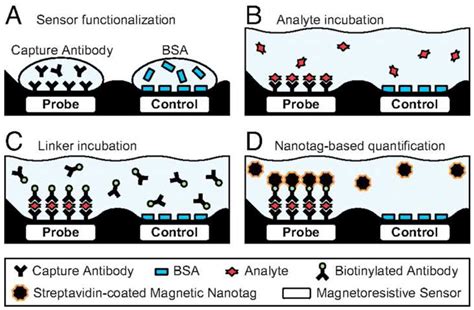 Sensors Special Issue Nanotechnological Advances In Biosensors