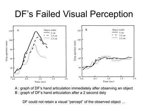 Ppt Frames Of Reference For Perception And Action In The Human Visual System Powerpoint