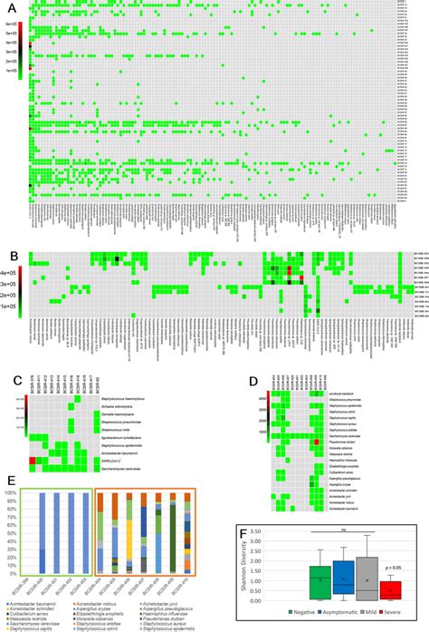 Relative Proportions Of Sequencing Reads Assigned To Species In Download Scientific Diagram