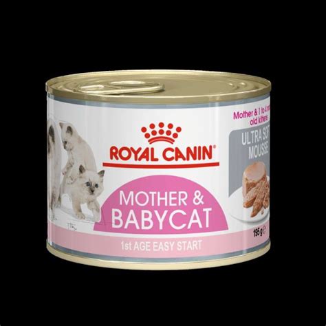 قیمت و خرید کنسرو غذای گربه رویال کنین مدل مادر و بچه گربه وزن 195 گرم