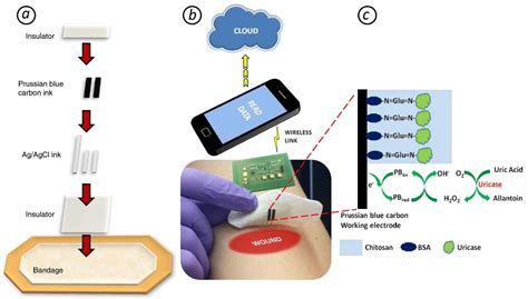 Electrochemical Analysis Biosensor At Helen Porter Blog